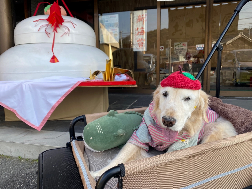 岡田の古い街並みレトロ散歩（愛知県知多市） – はっちの奮闘記